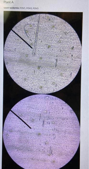 Instructions: Using the images below, count the | Chegg.com