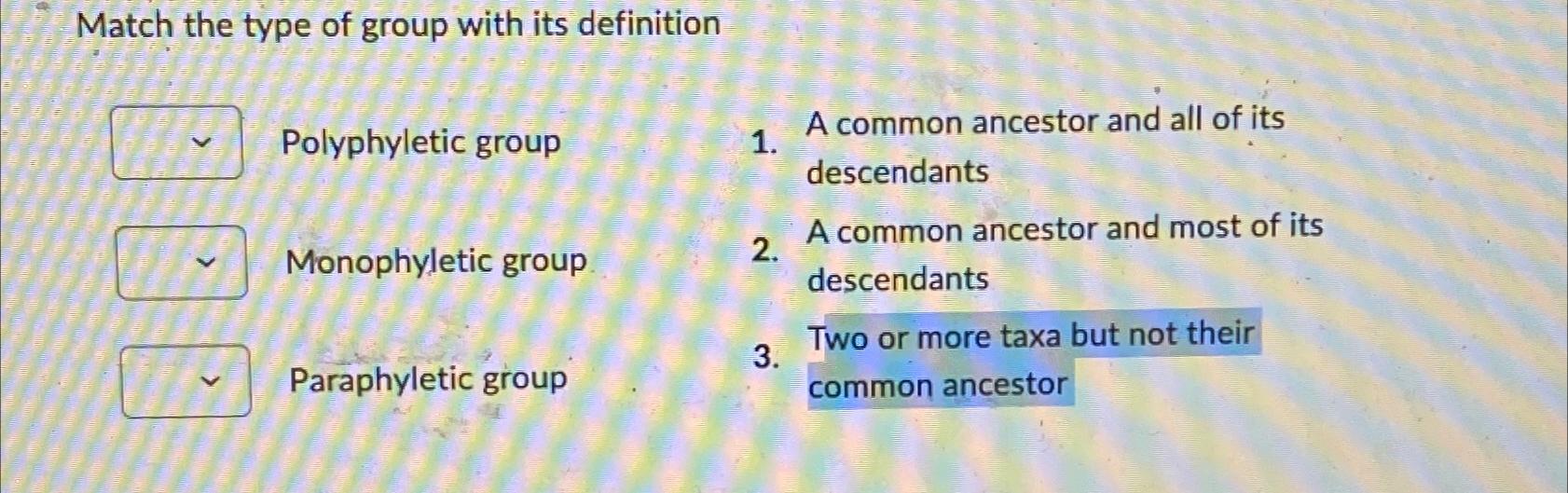 Solved Match the type of group with its | Chegg.com
