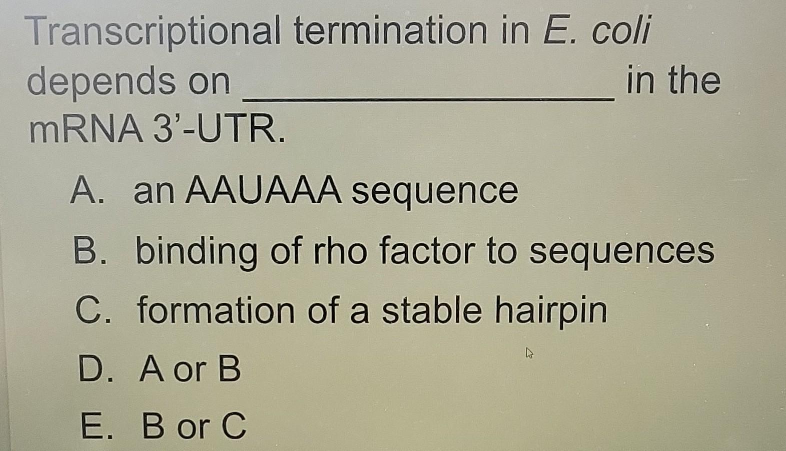 Solved Transcriptional termination in E. coli depends on in | Chegg.com