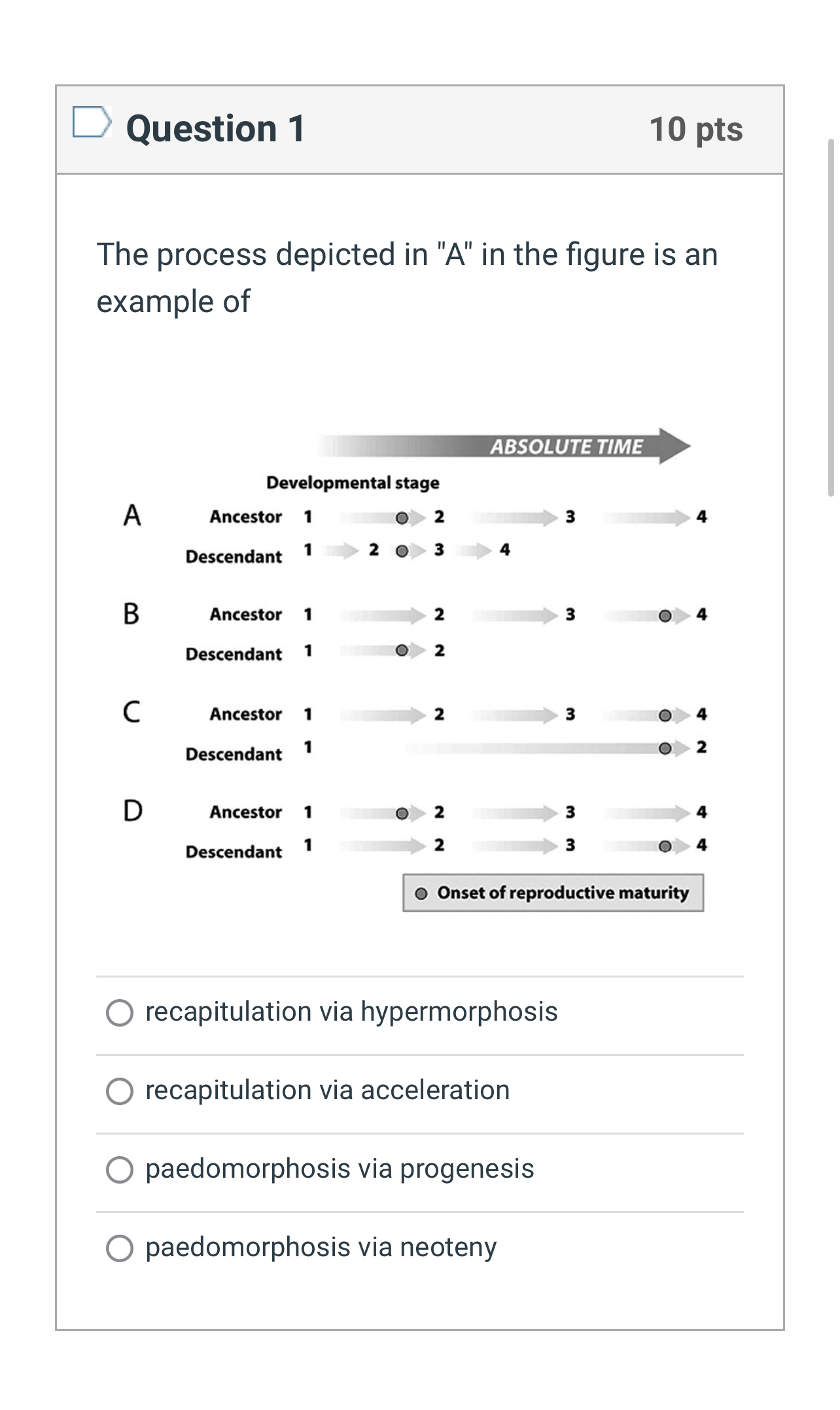 Solved Question 110 ﻿ptsThe process depicted in " A " ﻿in | Chegg.com