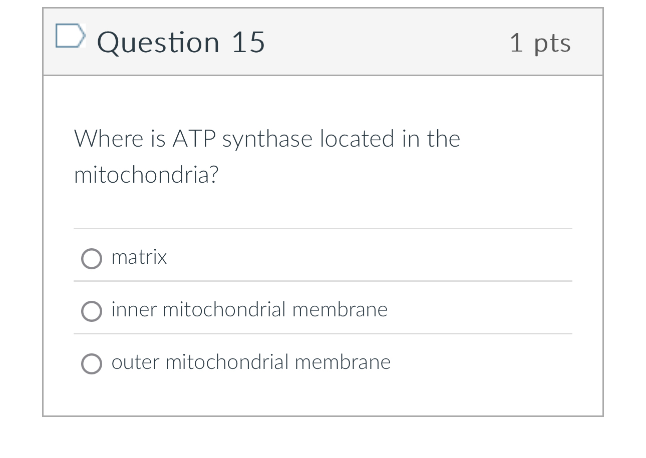 Solved Question 151 ﻿ptsWhere is ATP synthase located in the | Chegg.com
