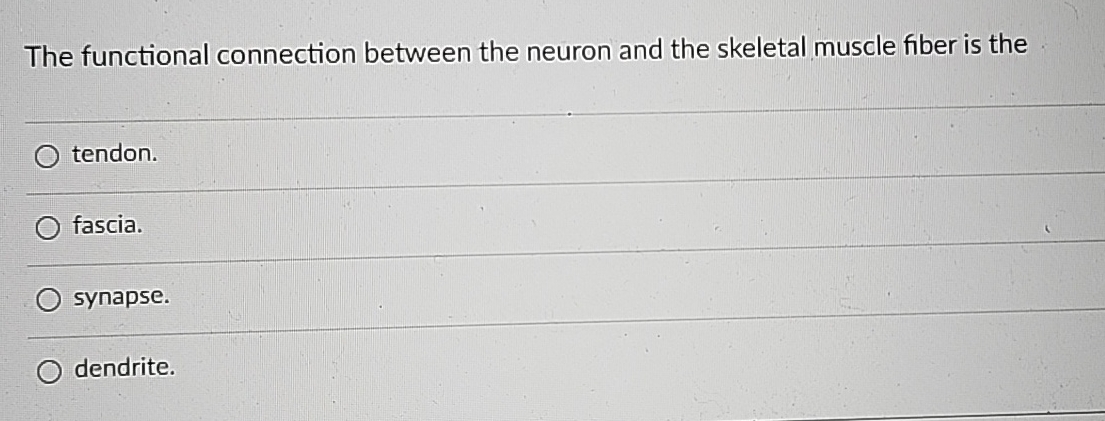 Solved The functional connection between the neuron and the | Chegg.com