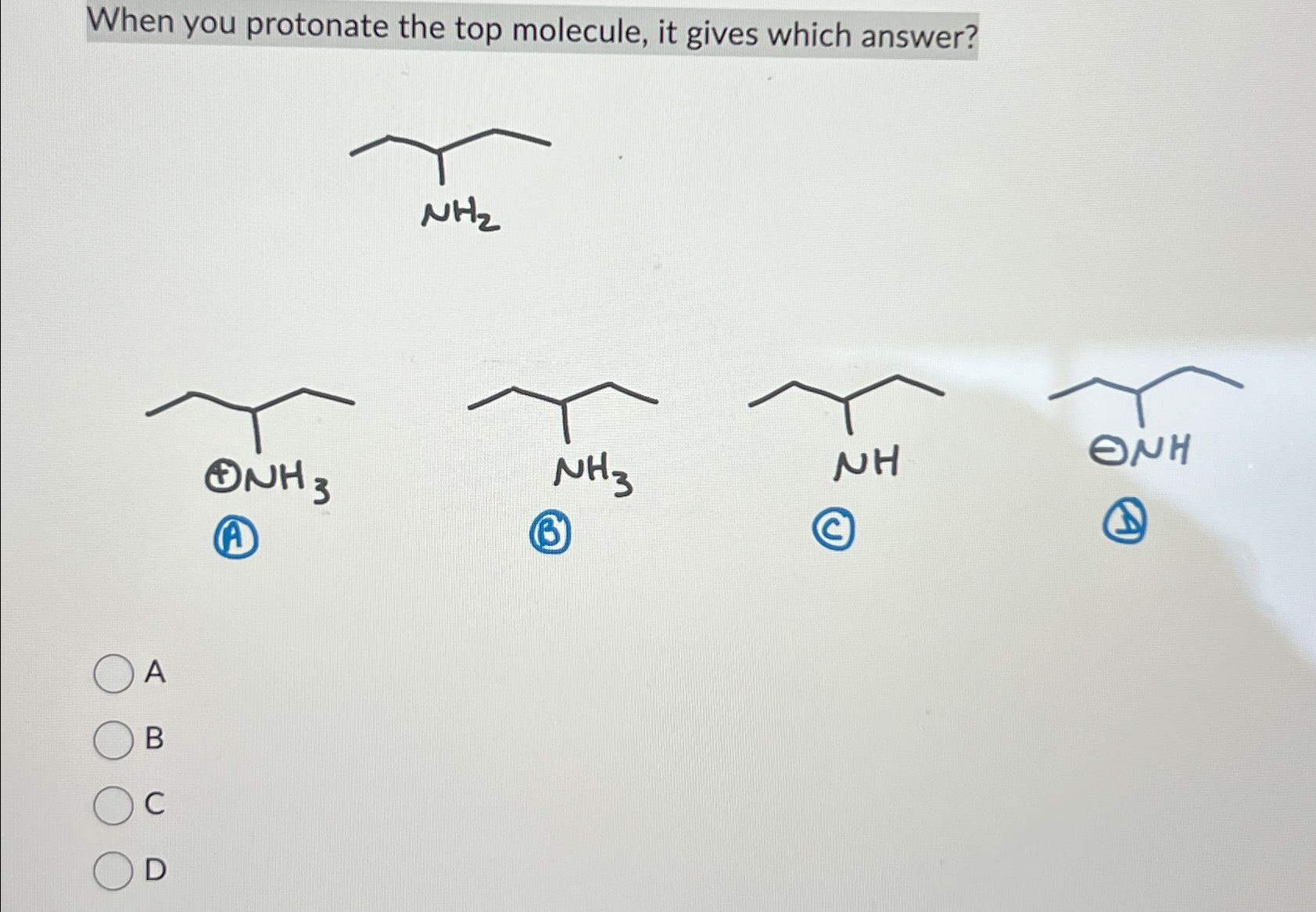 Solved When you protonate the top molecule, it gives which | Chegg.com