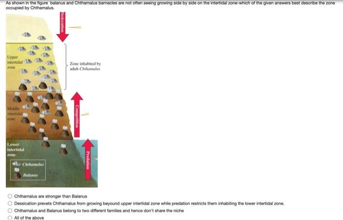 Solved As shown in the figure balanus and Chthamalus | Chegg.com