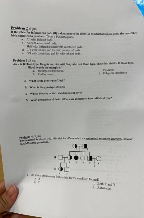 Solved Problem 2 ( 3pts) If the allele for inflated pea pods | Chegg.com