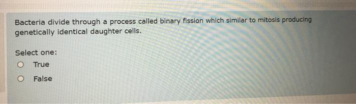 Solved Bacteria divide through a process called binary | Chegg.com