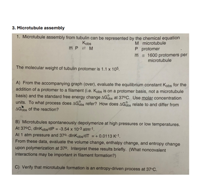 Solved Microtubule assemblyMicrotubule assembly from tubulin | Chegg.com