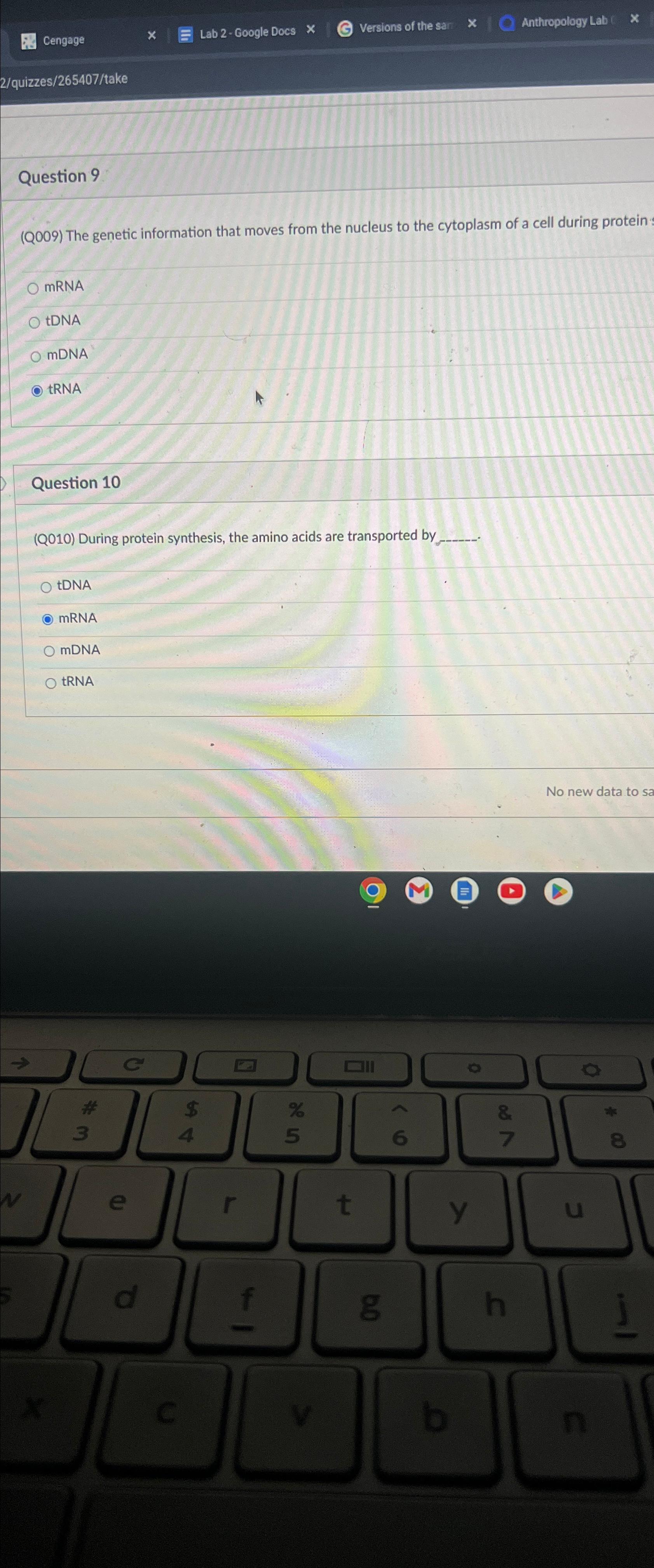 Solved Question 9(Q009) ﻿The genetic information that moves | Chegg.com