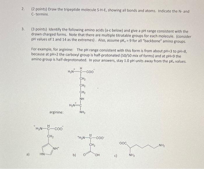 Solved 2. (2 points) Draw the tripeptide molecule S−H−E, | Chegg.com