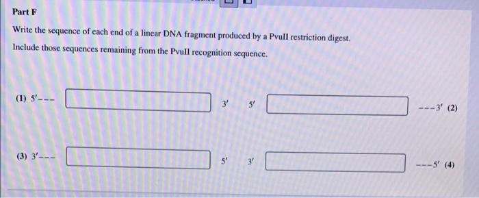 Solved Part F Write the sequence of each end of a linear DNA | Chegg.com