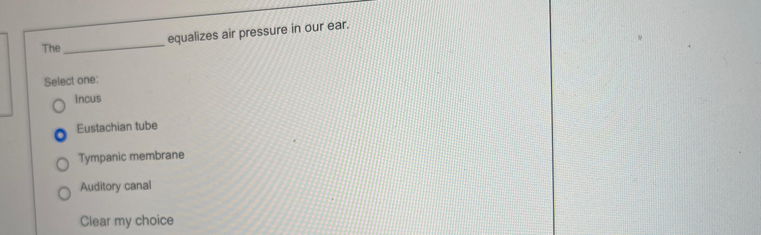 Solved The equalizes air pressure in our ear.Select | Chegg.com