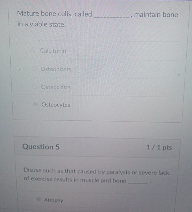 Solved Mature bone cells, callec maintain bone in a viable | Chegg.com