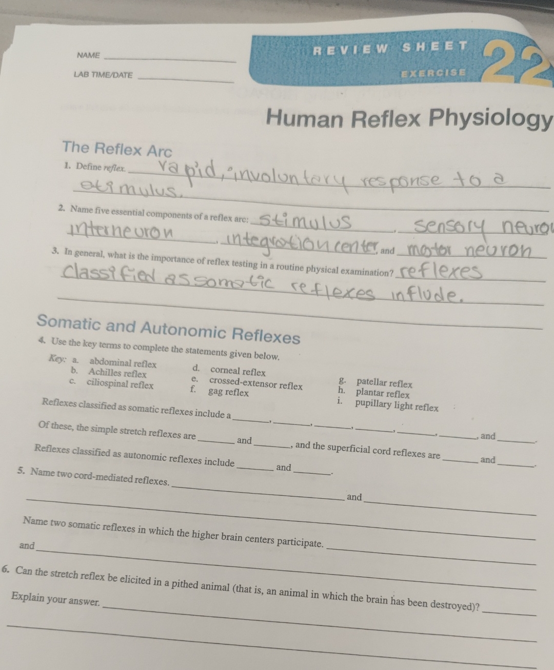 Solved NAME q,LAB TIME/DATE q,Human Reflex PhysiologyThe | Chegg.com