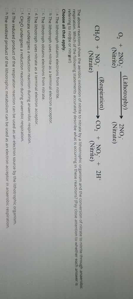 Solved (Lithotrophy) O2 + 2NO, (Nitrite) 2NO, (Nitrate) | Chegg.com