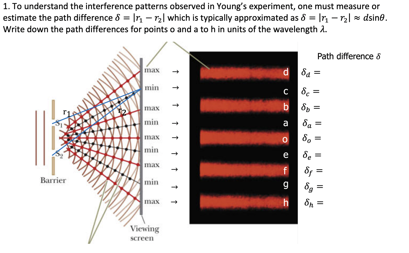 Solved To understand the interference patterns observed in | Chegg.com