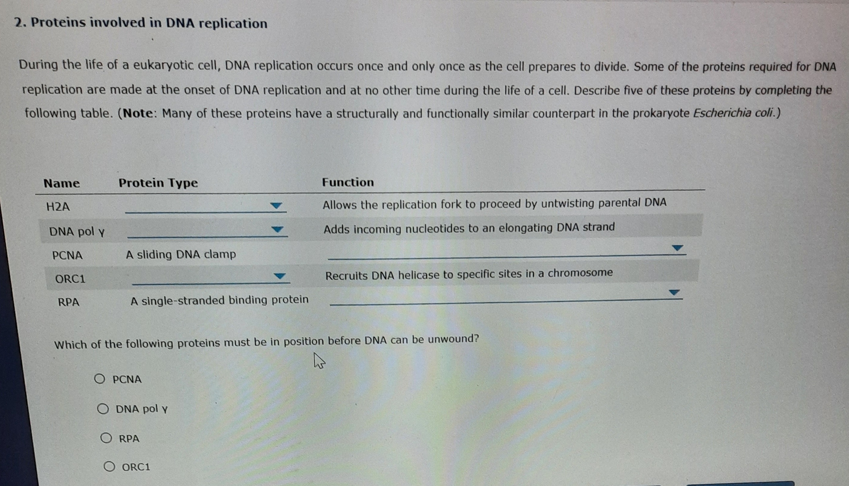 Solved Proteins involved in DNA replicationDuring the life | Chegg.com