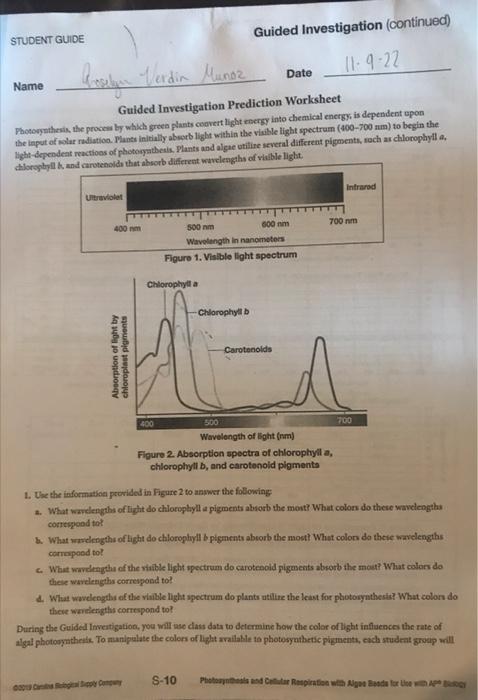 Solved Guided Investigation Prediction Worksheet | Chegg.com