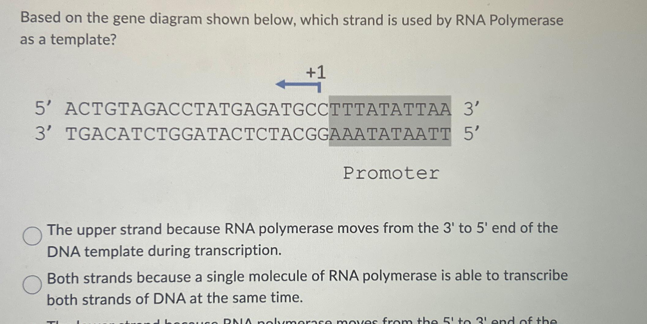 Solved Based on the gene diagram shown below, which strand | Chegg.com