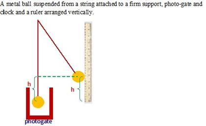 Solved Draw a diagram showing the forces acting on the ball | Chegg.com