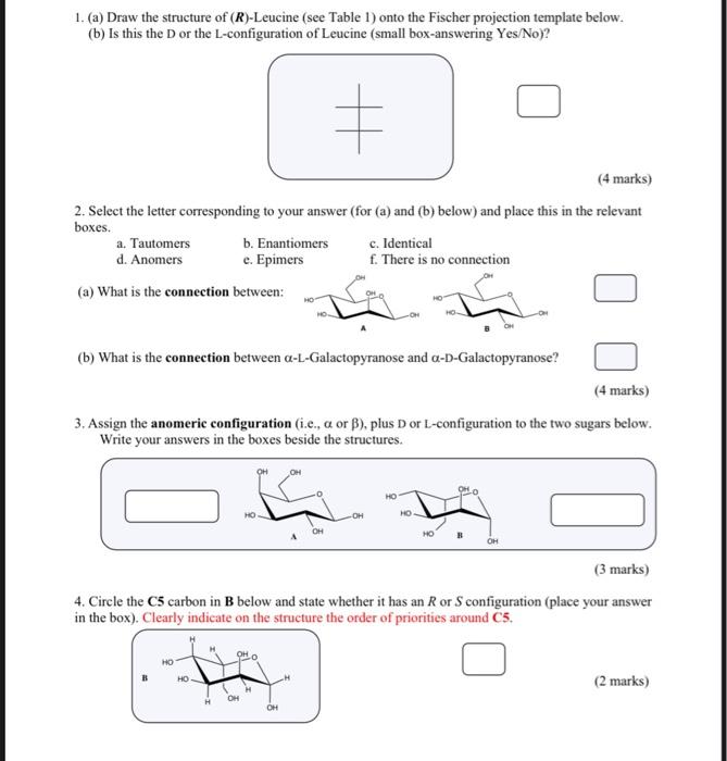 Solved 1. (a) Draw the structure of (R)-Leucine (see Table | Chegg.com