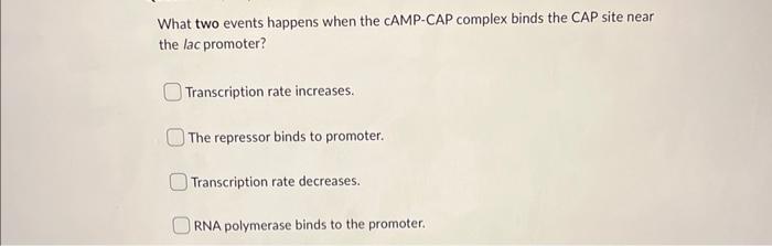 Solved What two events happens when the cAMP-CAP complex | Chegg.com
