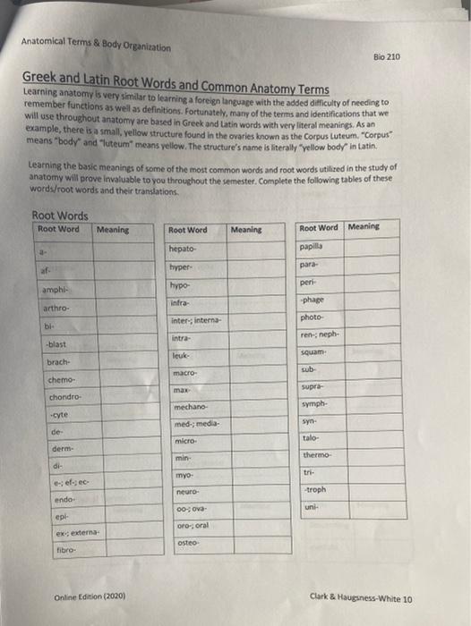 Anatomical Terms & Body Organization Bio 210 Greek | Chegg.com