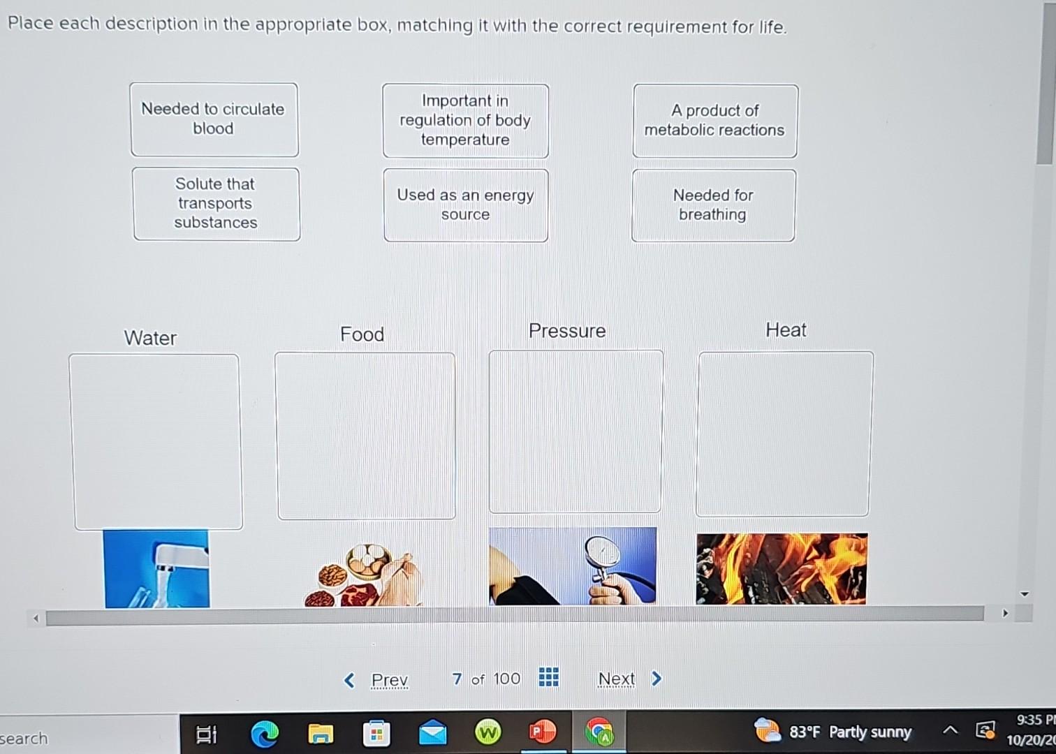 Solved Place each description in the appropriate box, | Chegg.com