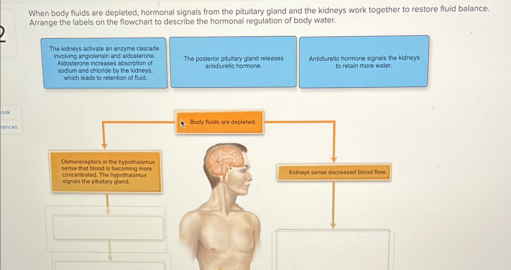 Solved When body fluids are depleted, hormonal signals from | Chegg.com