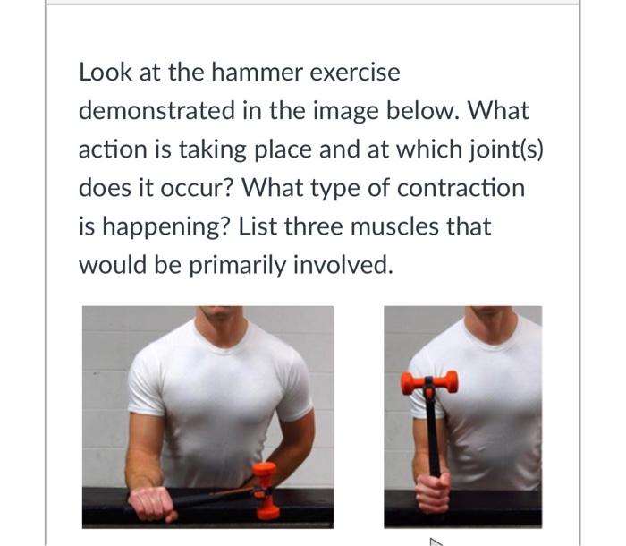 Solved Look at the hammer exercise demonstrated in the image | Chegg.com
