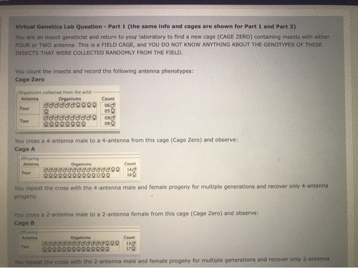 Solved Virtual Genetics Lab Question - Part 1 (the same info | Chegg.com