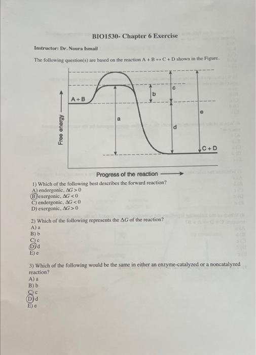 Solved Instructor: Dr. Noura Ismail The following | Chegg.com