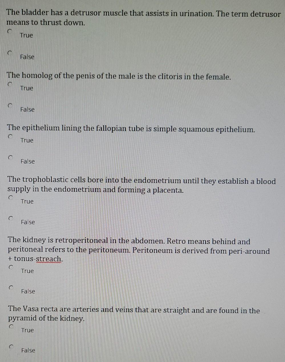 Solved The bladder has a detrusor muscle that assists in | Chegg.com