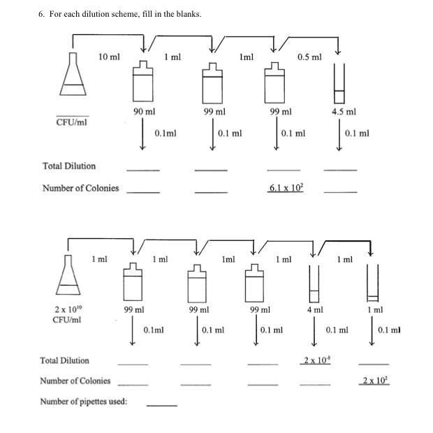 Solved For each dilution scheme, fill in the blanks. | Chegg.com