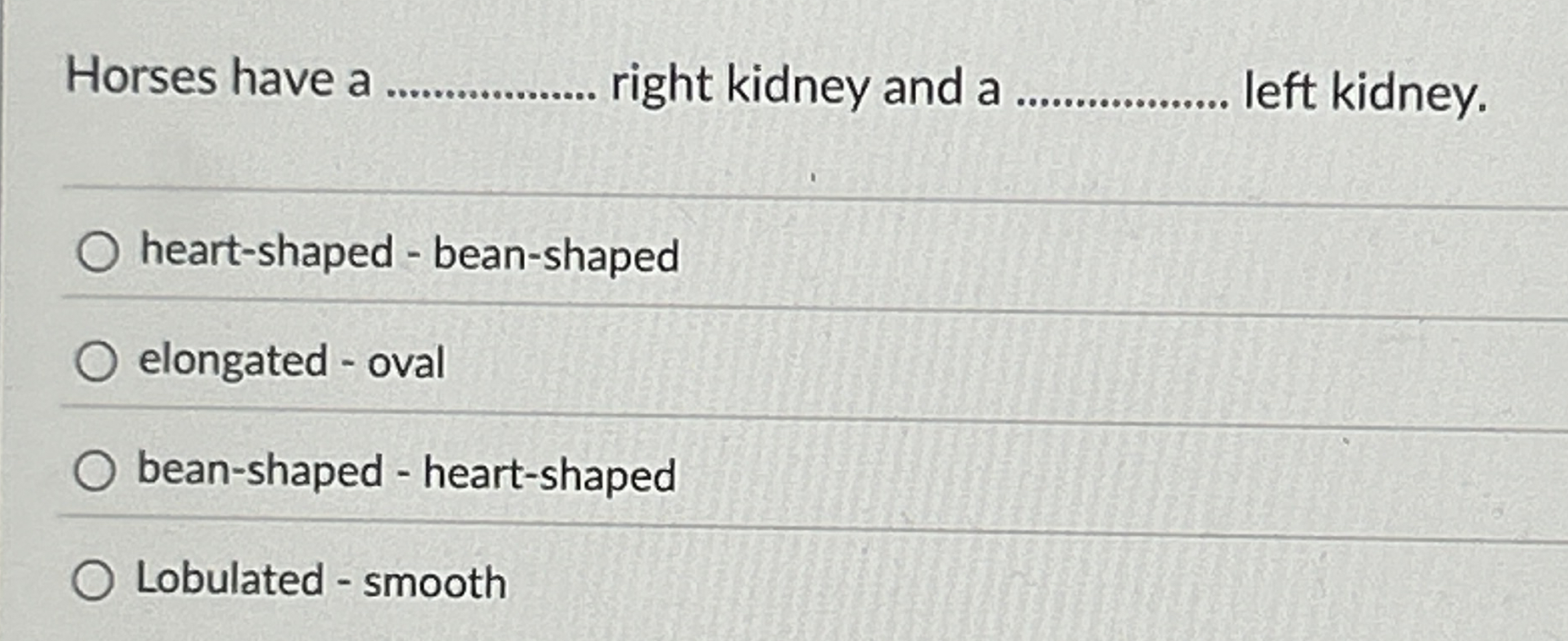 Solved Horses have a q, ﻿right kidney and a q, ﻿left | Chegg.com