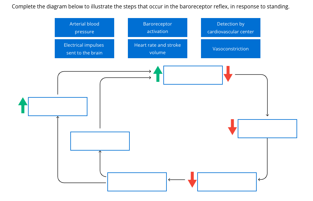 Solved Complete the diagram below to illustrate the steps | Chegg.com