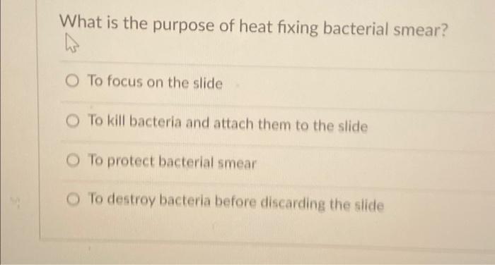 Solved What is the purpose of heat fixing bacterial smear? W | Chegg.com