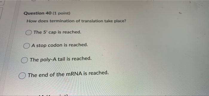Solved ion 40 1 Point How Does Termination Of Chegg