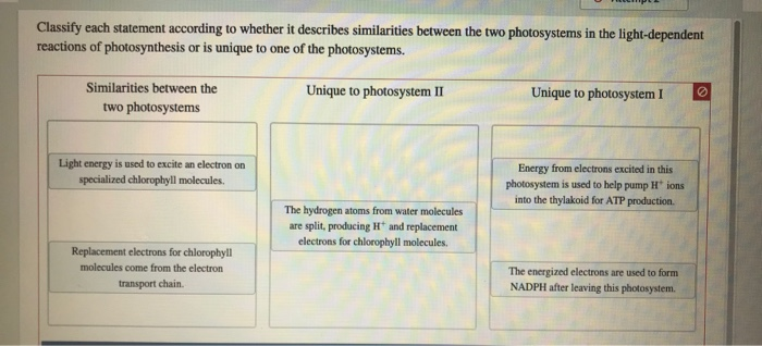 Solved Classify each statement according to whether it | Chegg.com