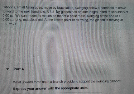 Solved Gibbons, small Asian apes, move by brachiation, | Chegg.com
