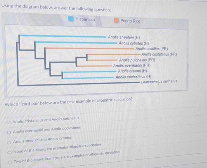 Solved Using the diagram below, answer the following | Chegg.com