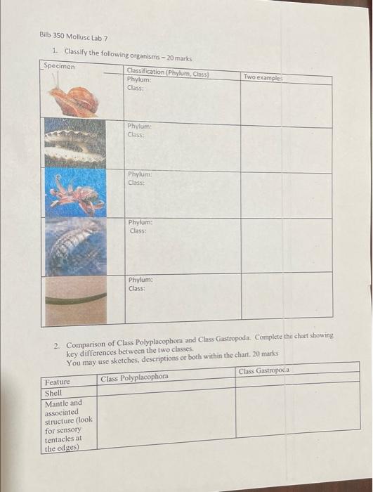 Solved 1. Classify the following organisms -20 marks 2. | Chegg.com