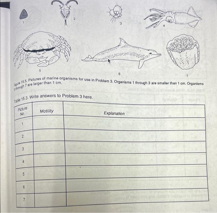 Problem 3: Several marine organisms are depicted in | Chegg.com