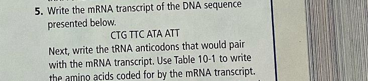 Solved Write the mRNA transcript of the DNA sequence | Chegg.com