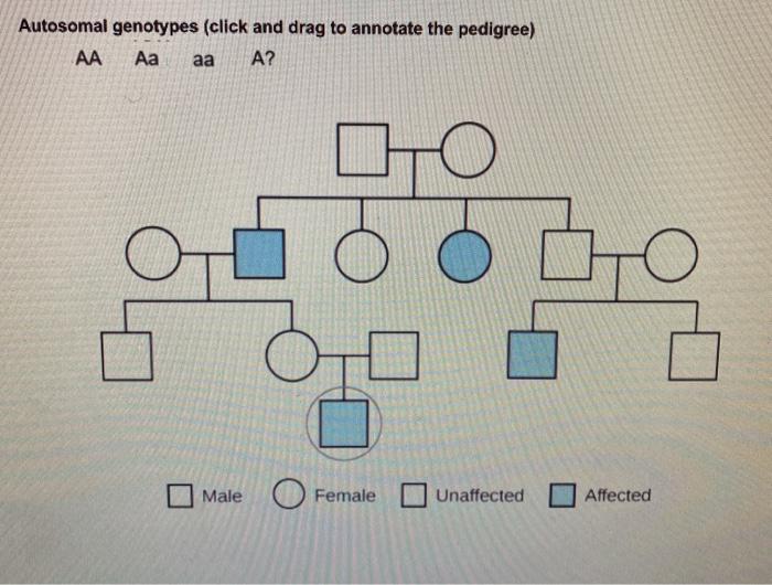 Solved X-linked ALD (Double click to annotate the diagram) | Chegg.com