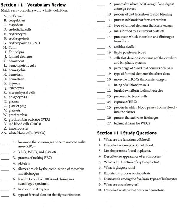 Solved Section 11.1 Vocabulary Review Match each vocabulary | Chegg.com