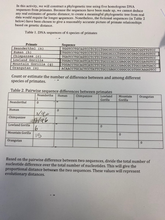 Solved In this activity, we will construct a phylogenetic | Chegg.com