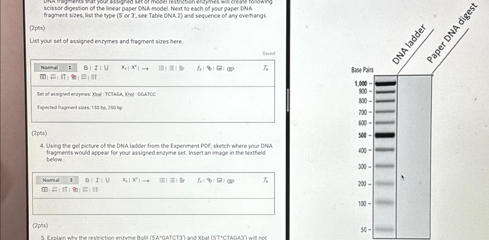 Solved My assigned enzmye is Xbal and Xhol. Using the gel | Chegg.com