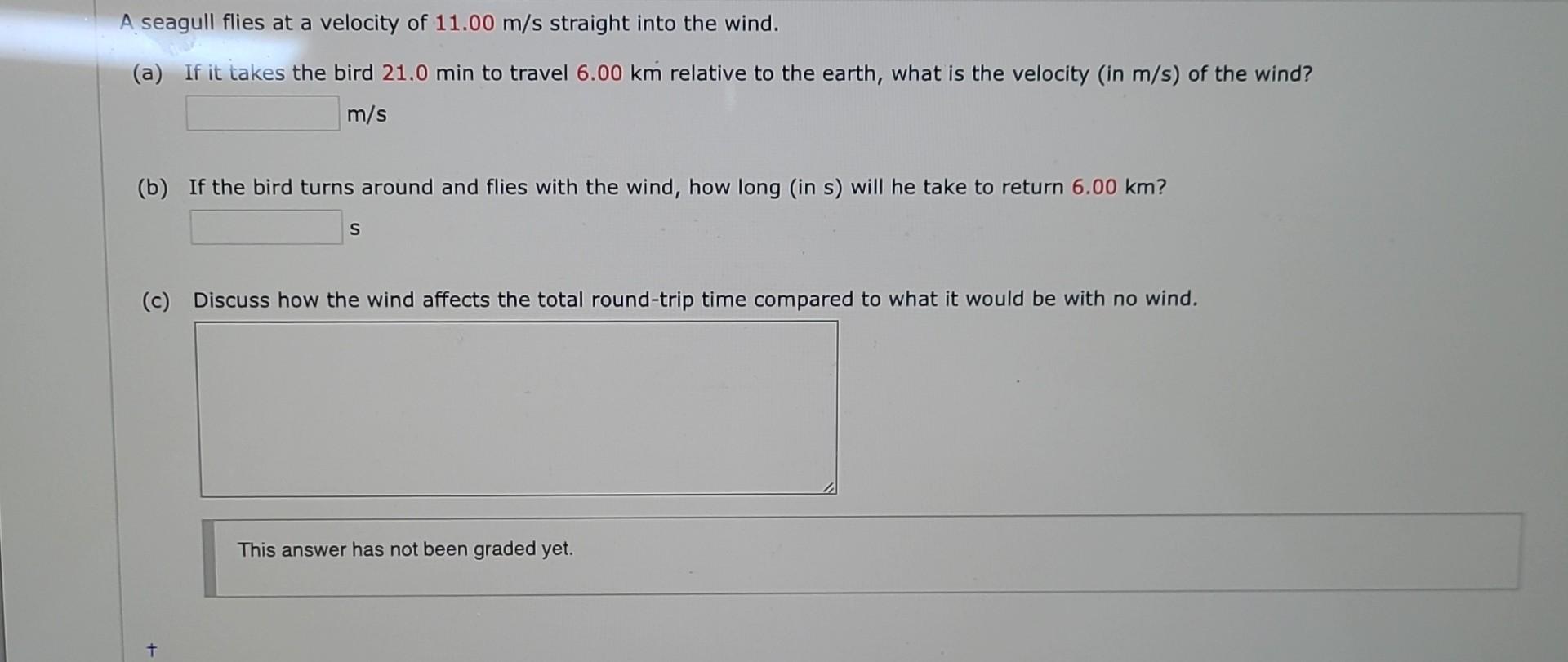 Solved A seagull flies at a velocity of 11.00 m/s straight | Chegg.com