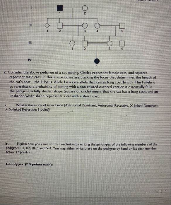 Solved Recitation 4: Genetic Inheritance The following table | Chegg.com