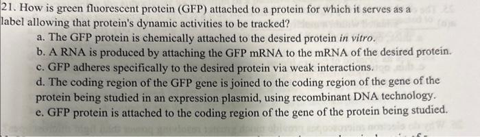 Solved 21. How is green fluorescent protein (GFP) attached | Chegg.com